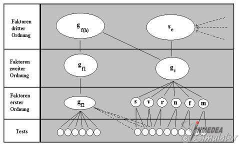 Das Intelligenzmodell von Cattell